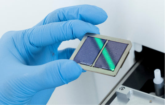 Genetic Testing for Complete Health | Inagene Diagnostics Inc ...